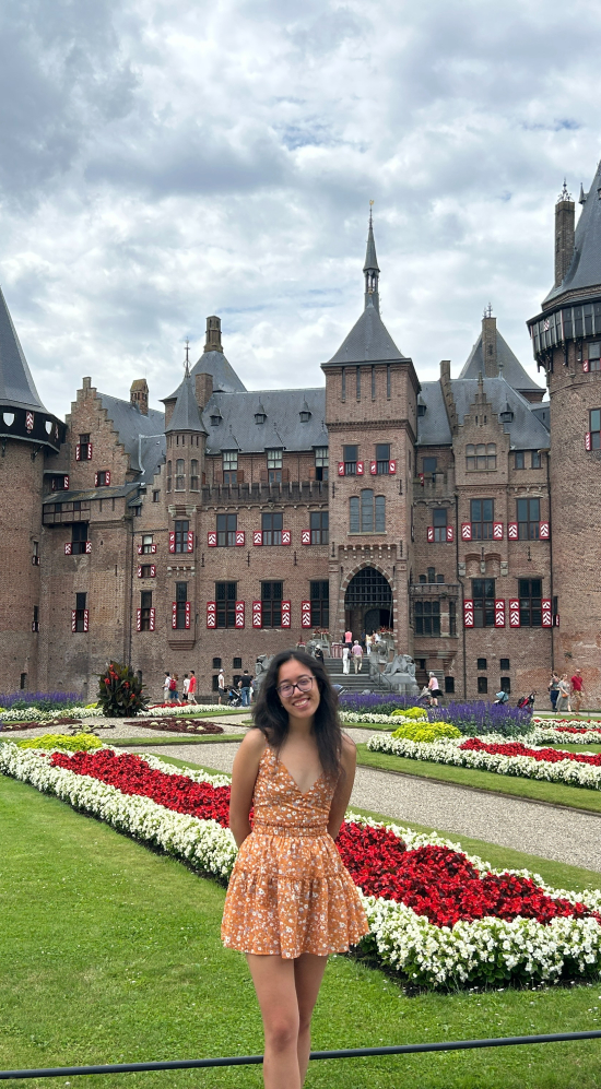 Adrienne Lai Netherlands Story Panel | MISTI