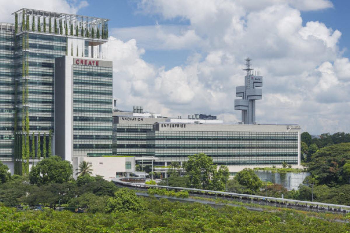 Student Story: Neerja Aggarwal | MISTI